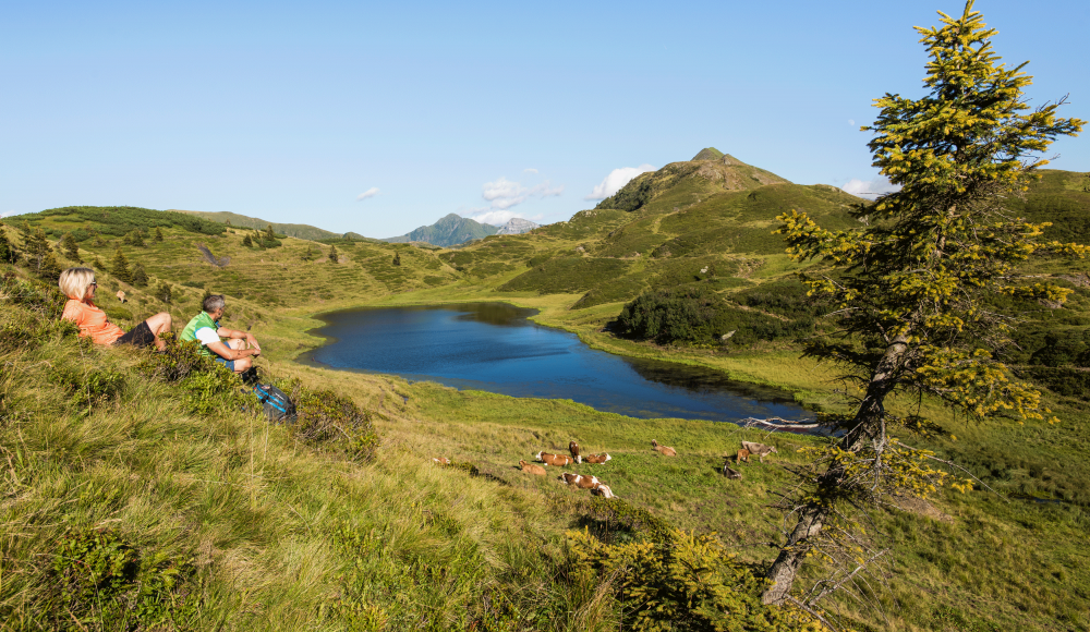 Höhenwandern: Warum du es unbedingt einmal gemacht haben musst ... Höhenwandern: Warum du es unbedingt einmal gemacht haben musst ...
